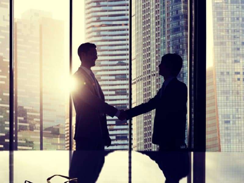 Murphy - Wellingtone